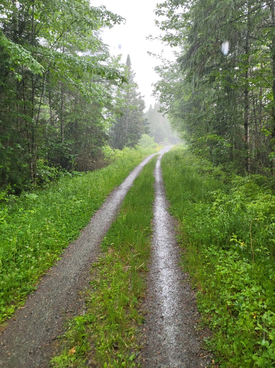 Slide Brook with Umbrellas | Outdoor Adventures